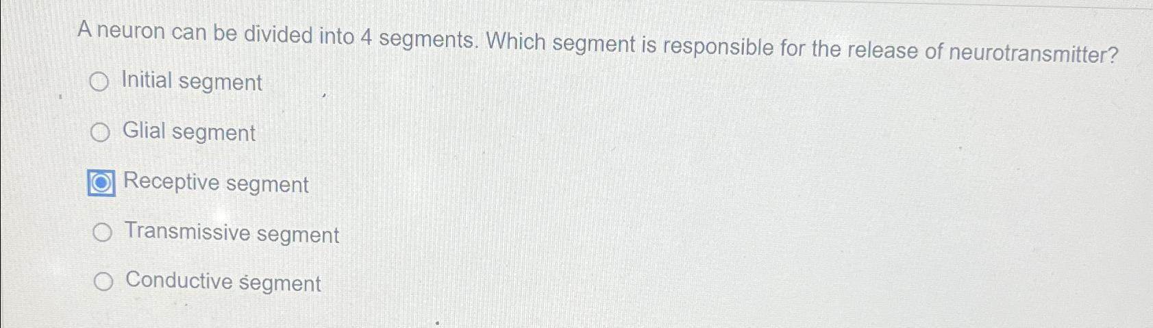 Solved A neuron can be divided into 4 ﻿segments. Which | Chegg.com