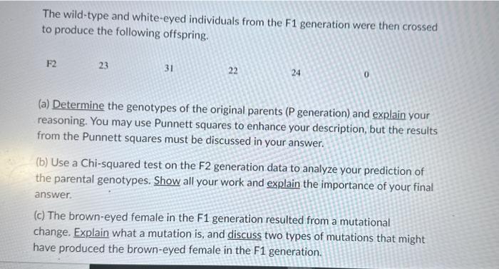 Solved Directions: Answers must be in essay form. Outline | Chegg.com