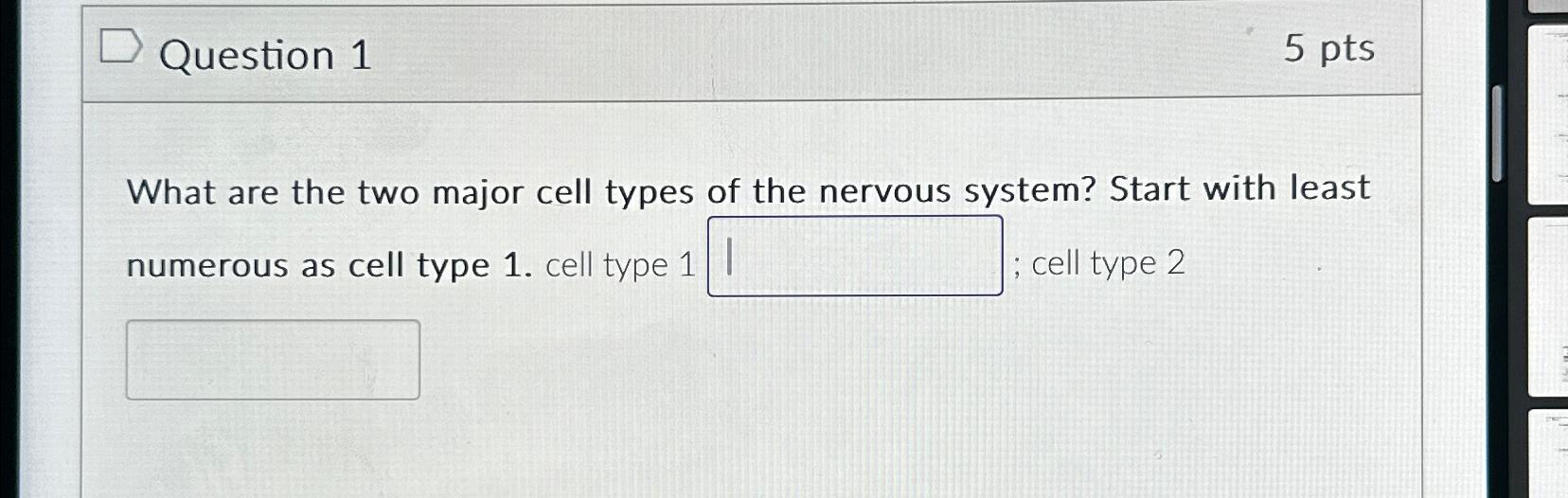 Solved Question 15 ﻿ptsWhat are the two major cell types of | Chegg.com
