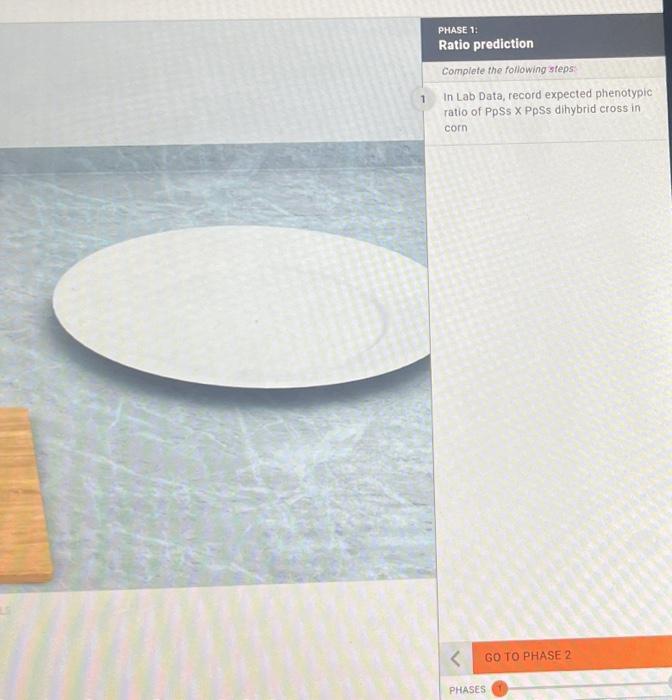 PHASE 1: Ratio prediction Complete the following | Chegg.com