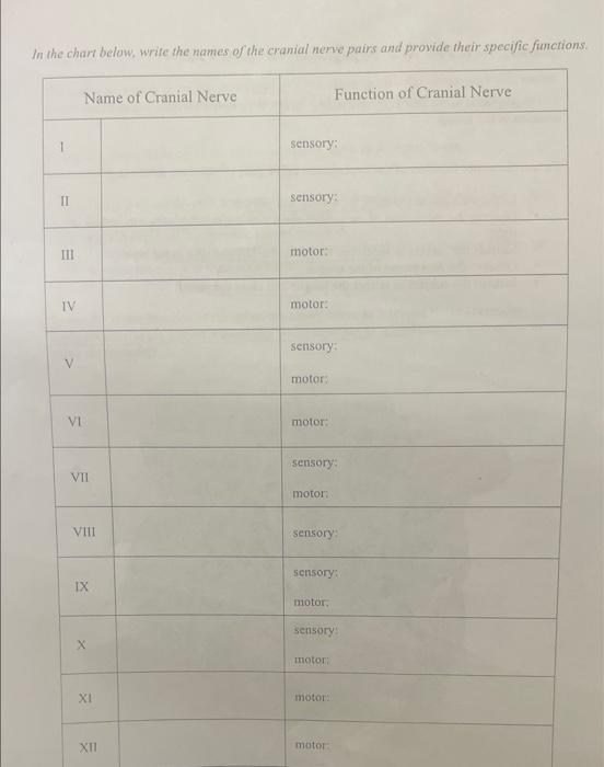 Solved In the chart below, write the names of the cranial | Chegg.com