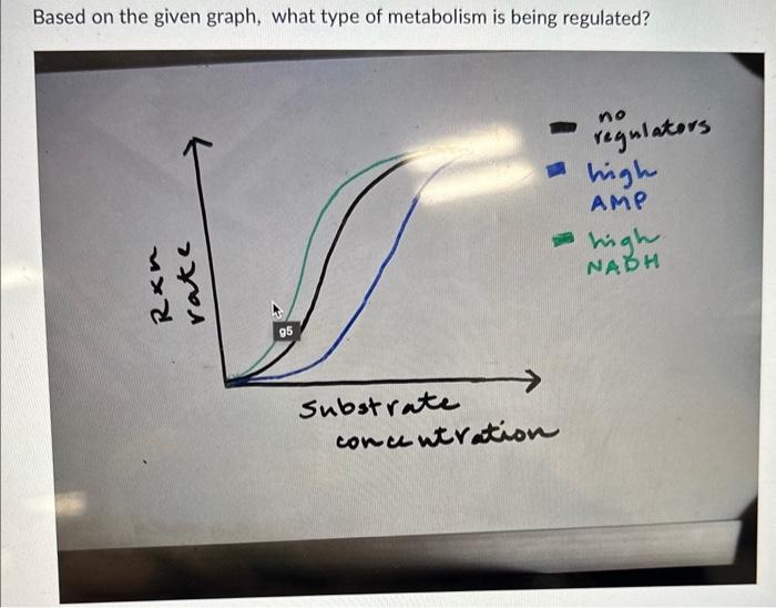 Solved Based on the given graph, what type of metabolism is | Chegg.com