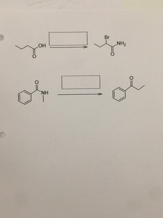 Solved NH2 | Chegg.com