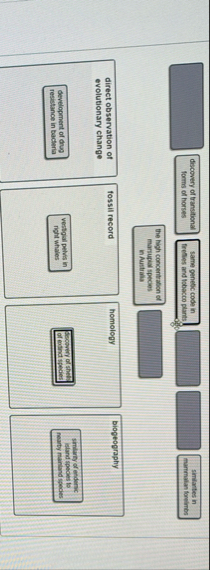 Solved discovery of transitional forms of horsessame genefic | Chegg.com