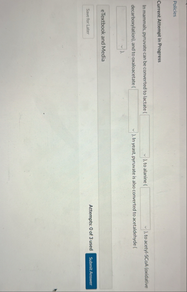 Solved PoliciesCurrent Attempt in ProgressIn mammals, | Chegg.com
