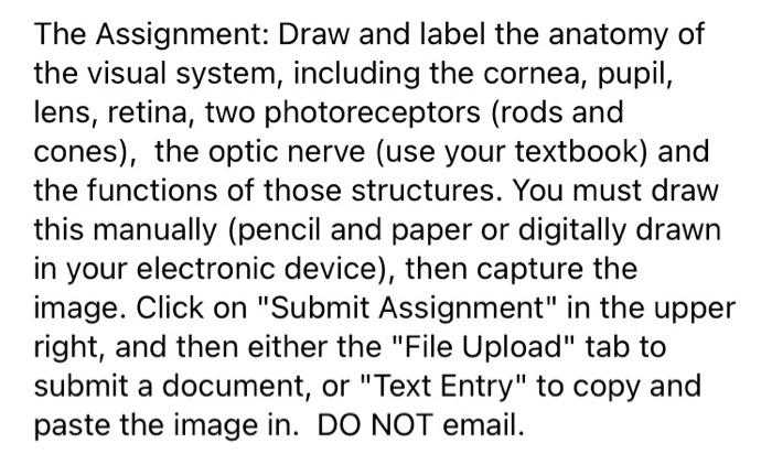 Solved The Assignment: Draw and label the anatomy of the | Chegg.com