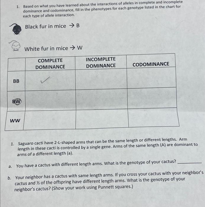 Solved 1. Based on what you have learned about the | Chegg.com