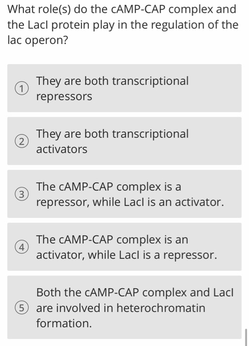 Solved What role(s) do the CAMP-CAP complex and the Lacl | Chegg.com