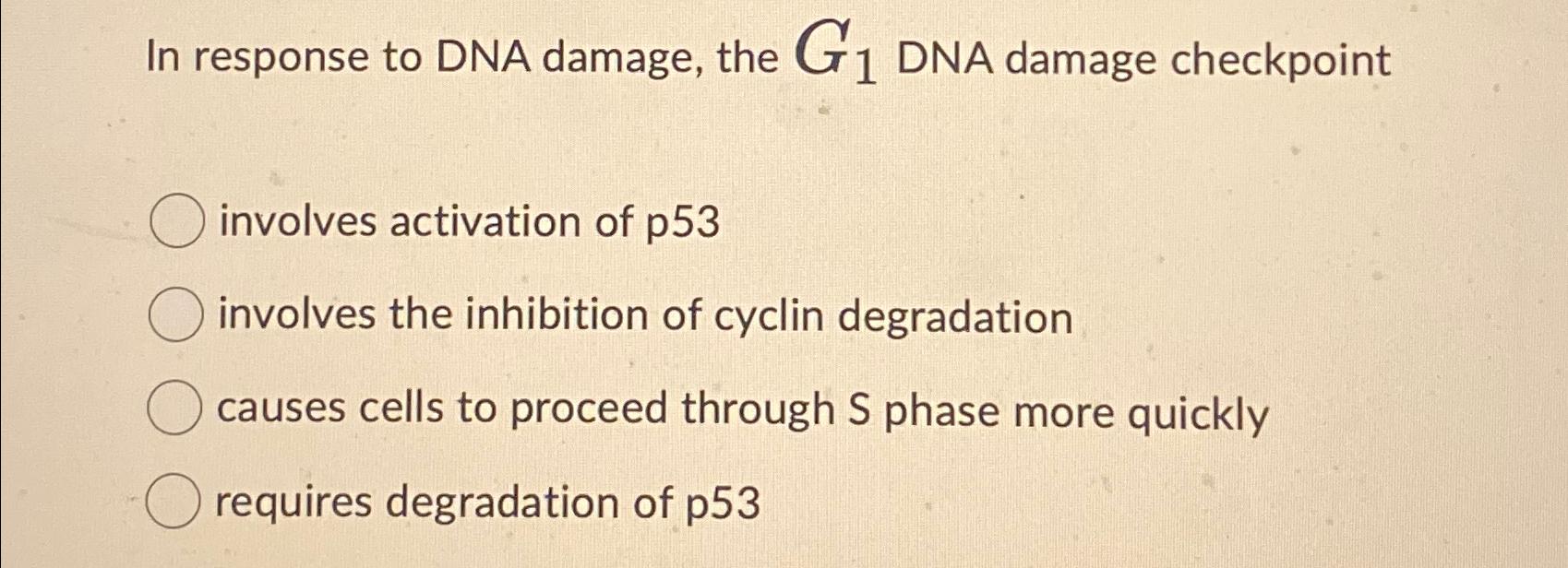 Solved In response to DNA damage, the G1 ﻿DNA damage | Chegg.com