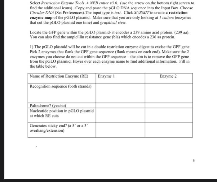 Solved Select Restriction Enzyme Tools → NEB cutter v3.0. | Chegg.com