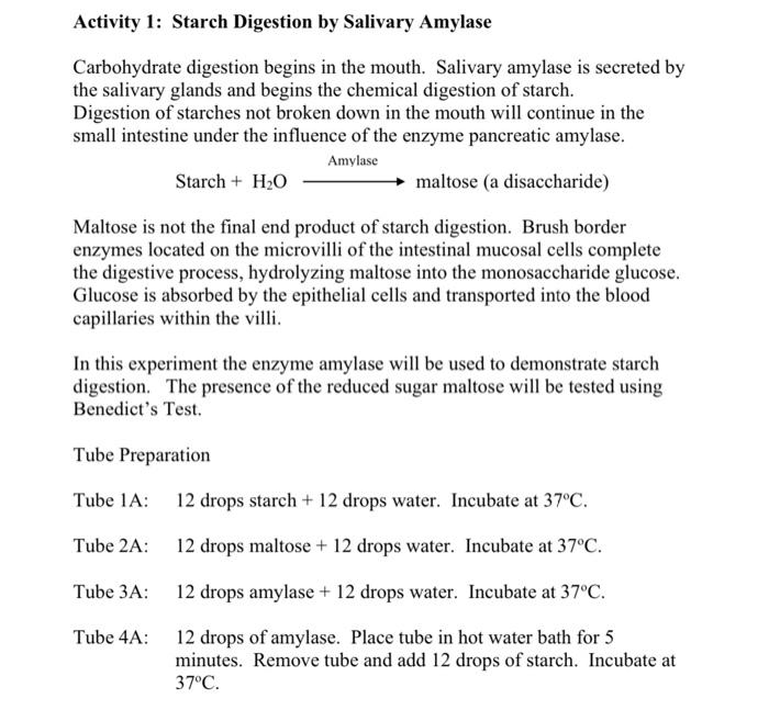 Solved Activity 1: Starch Digestion by Salivary Amylase | Chegg.com