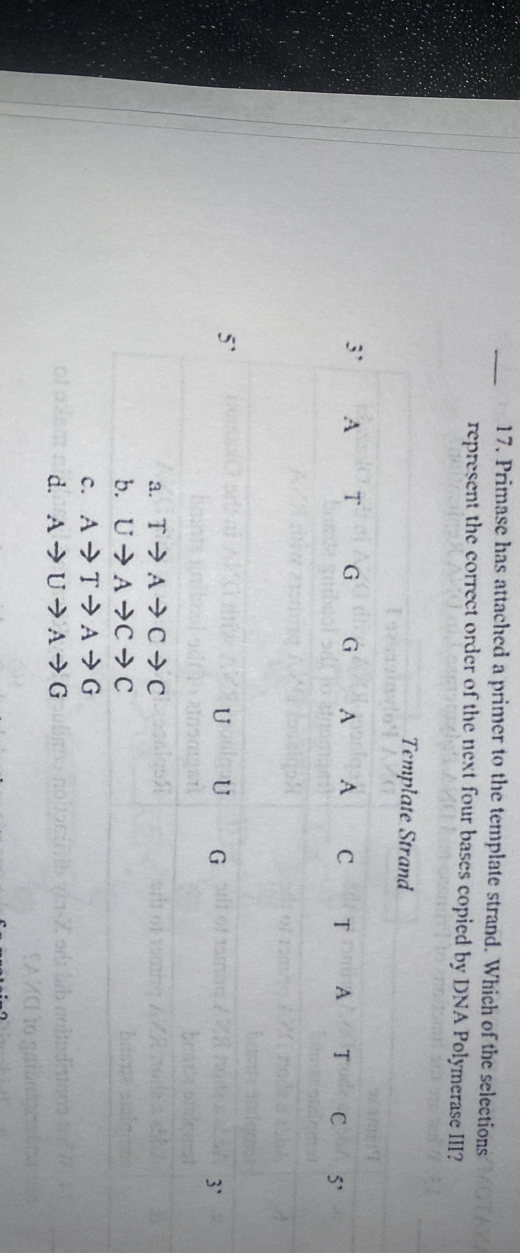 q, 17. ﻿Primase has attached a primer to the template | Chegg.com