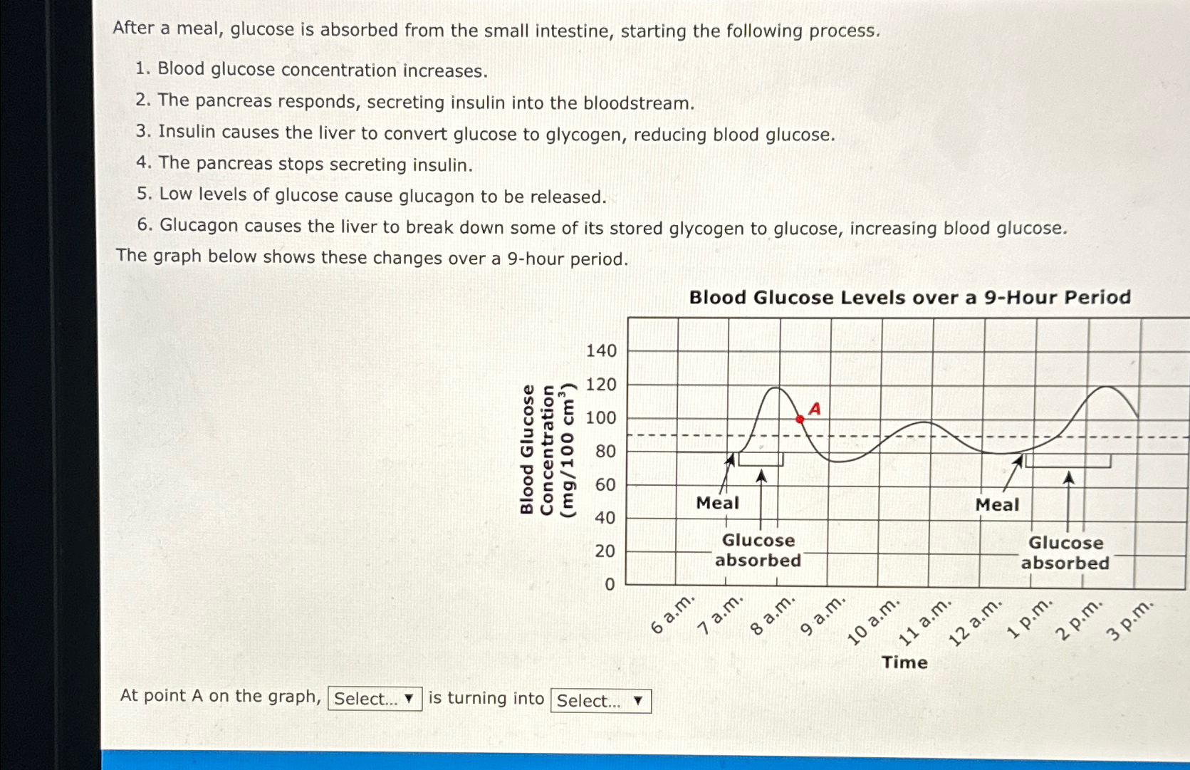 Solved After a meal, glucose is absorbed from the small | Chegg.com