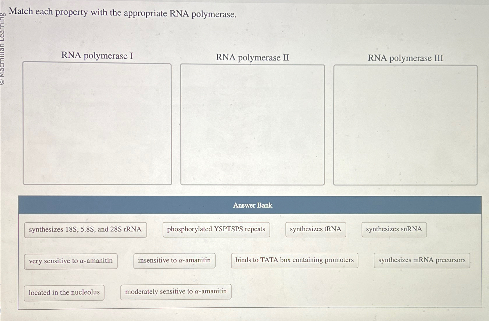 Solved Match each property with the appropriate RNA | Chegg.com