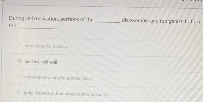 Solved During Cell Replication Portions Of The Disassemble 1669