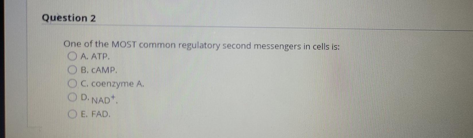 Solved Question 1 When drawing a Haworth perspective formula | Chegg.com