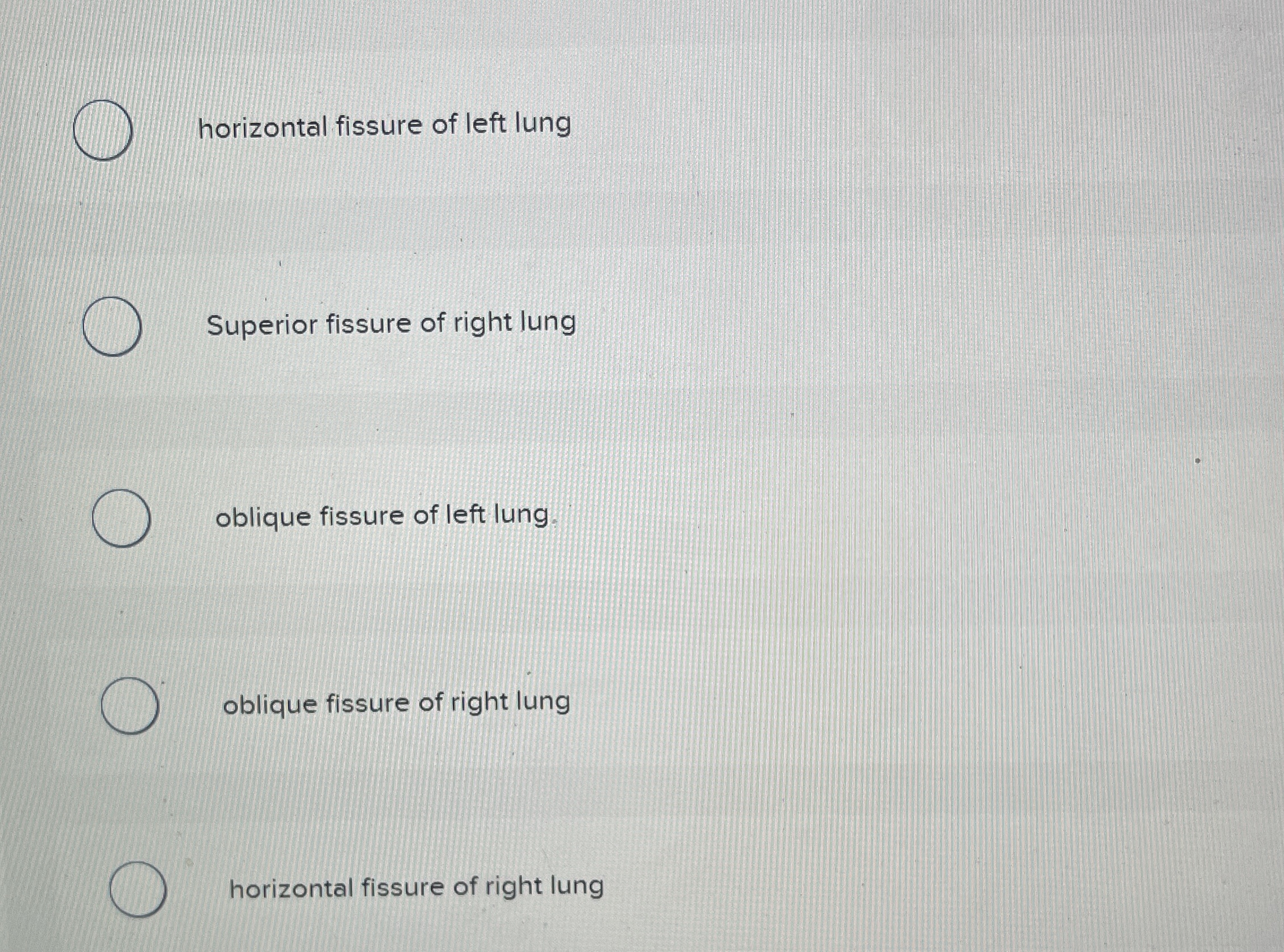 Solved horizontal fissure of left lungSuperior fissure of | Chegg.com