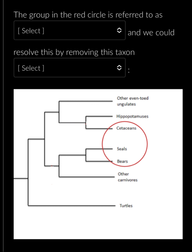 Solved The group in the red circle is referred to asand we | Chegg.com