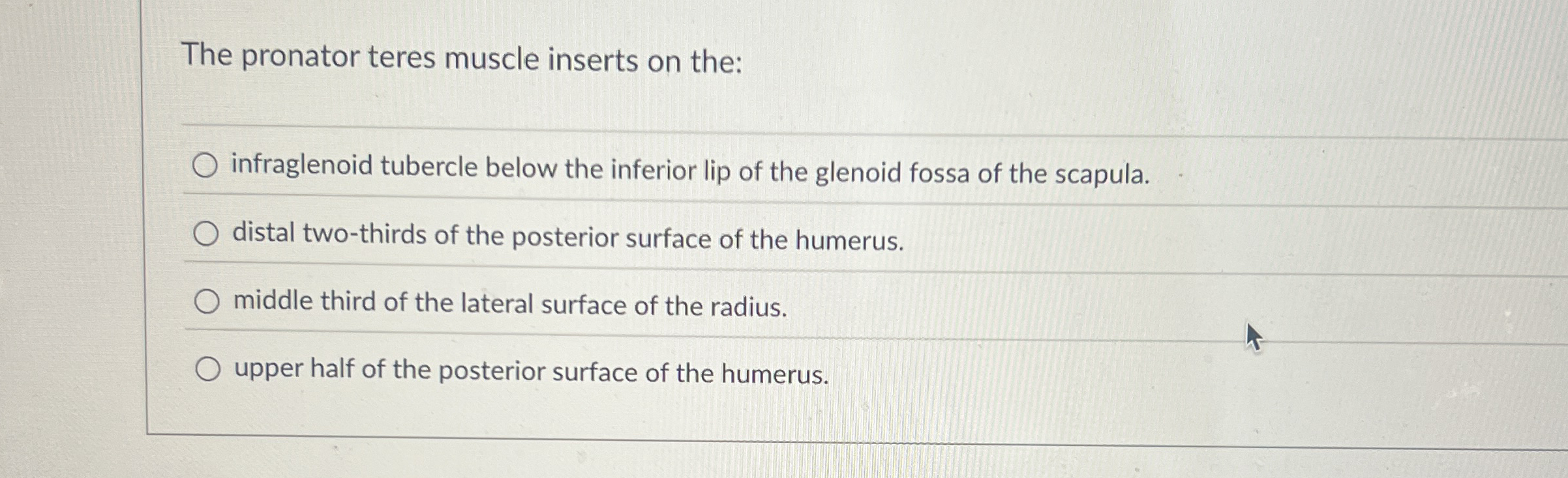 Solved The pronator teres muscle inserts on the:infraglenoid | Chegg.com