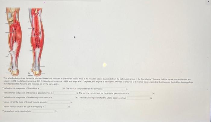 N. The veriad inchesent fer the saimen is W. The | Chegg.com