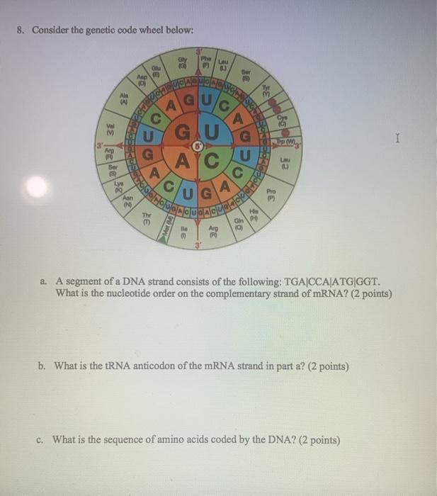 Solved 8. Consider the genetic code wheel below: Asp Ala 3 A | Chegg.com