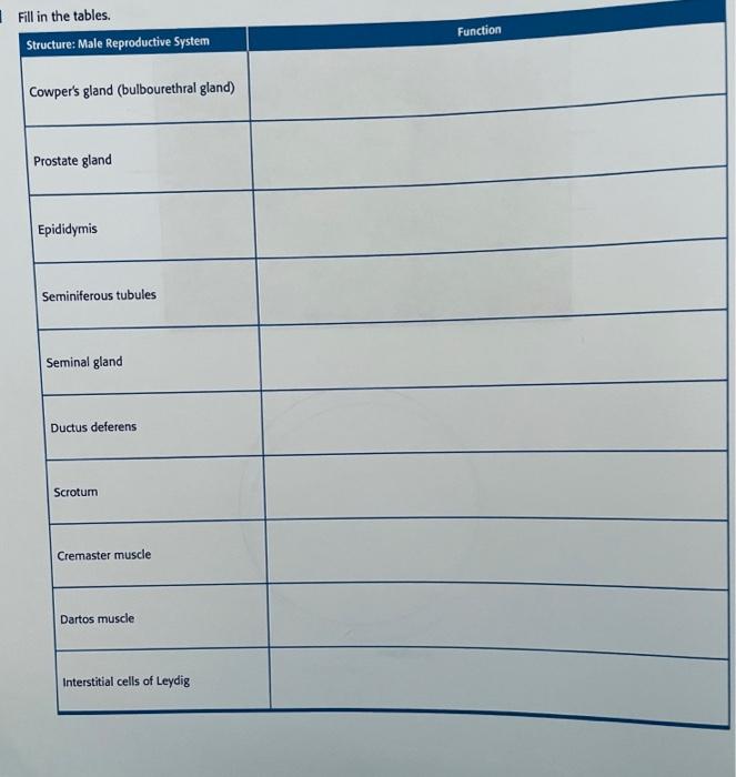 Solved Fill in the tables. Structure: Male Reproductive | Chegg.com