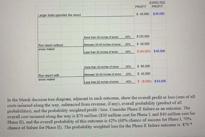 Guidelines and Questions for Merck Case The Merck | Chegg.com