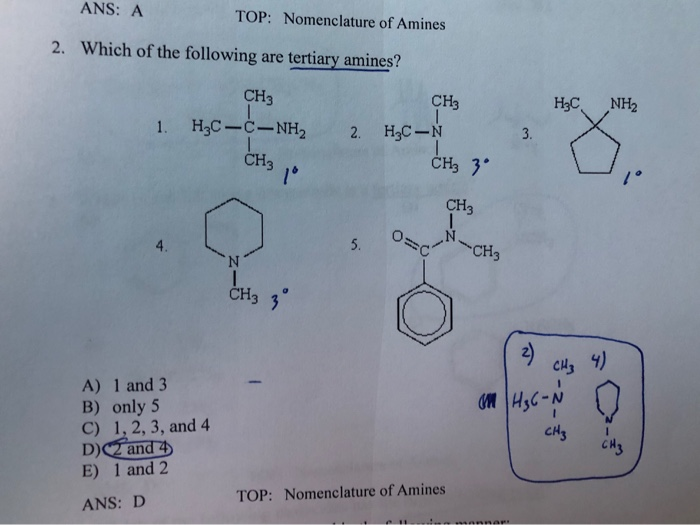 Solved ANS: A TOP: Nomenclature of Amines 2. Which of the | Chegg.com