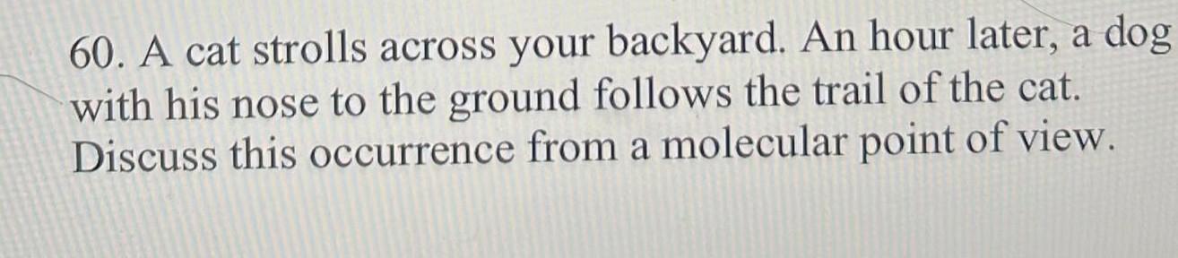 [Solved]: 60. A cat strolls across your backyard.