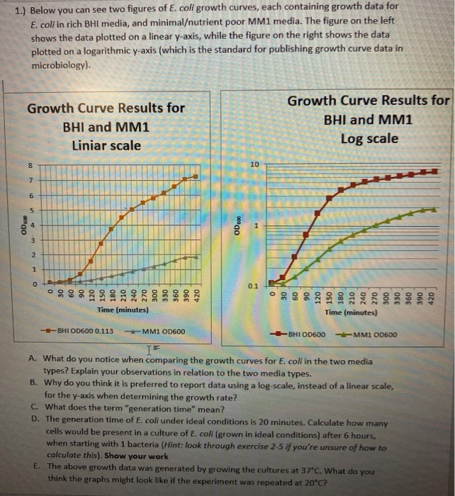 Solved 1.) Below you can see two figures of E. coli growth | Chegg.com