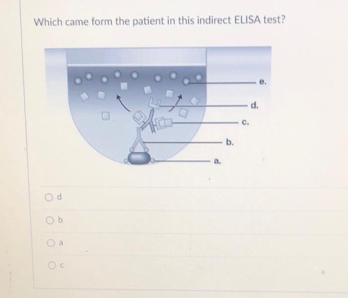 Solved Which came form the patient in this indirect ELISA | Chegg.com