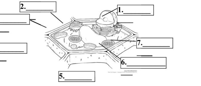 Solved 5. points) d) Which of the indicated structure or | Chegg.com