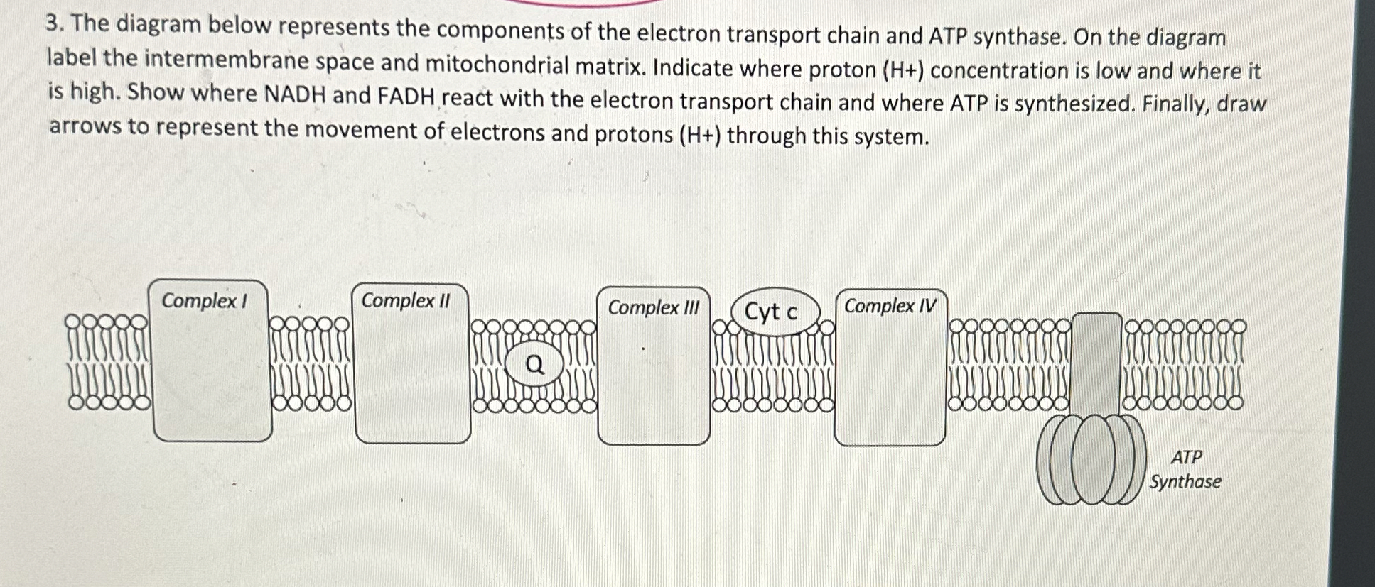 Solved The diagram below represents the components of the | Chegg.com