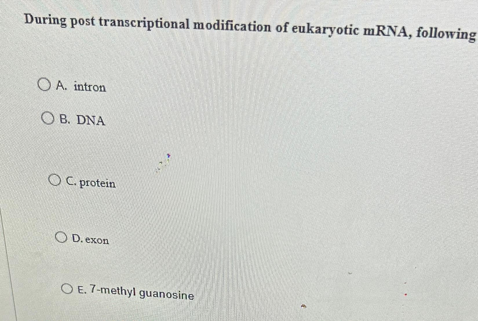 Solved During post transcriptional modification of | Chegg.com
