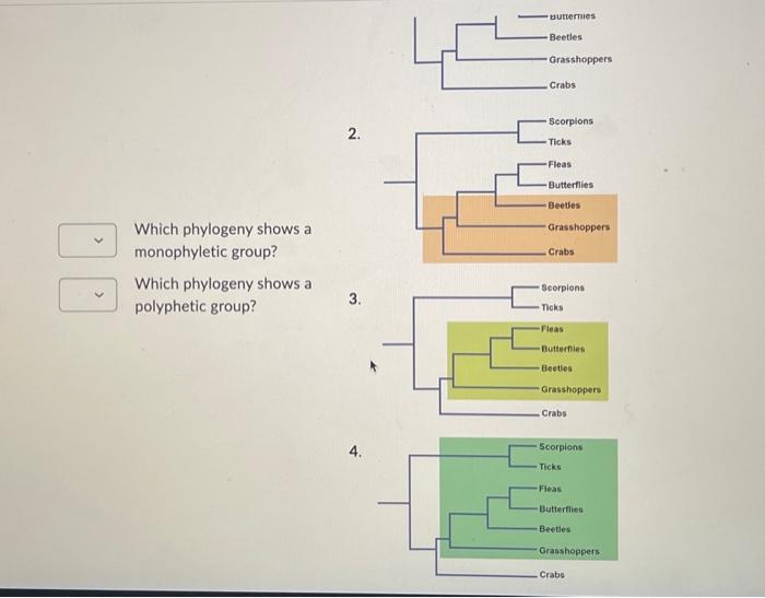Solved Use these phylogenies to answer the questions. 1. | Chegg.com
