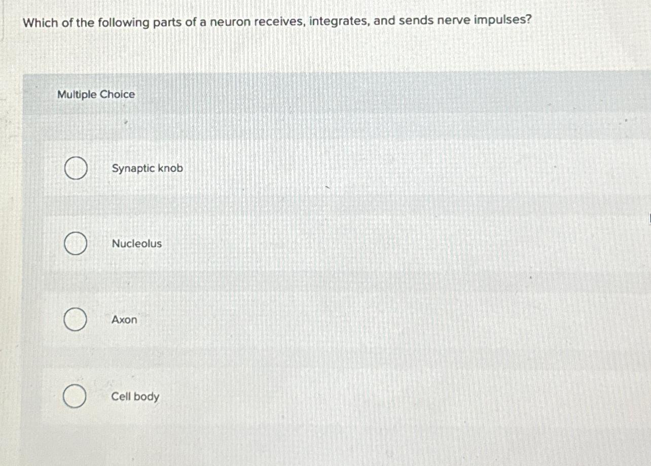 Solved Which of the following parts of a neuron receives, | Chegg.com