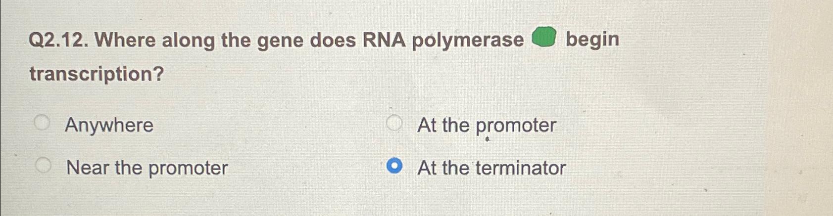 Solved Q2.12. ﻿Where along the gene does RNA polymerase | Chegg.com | Chegg.com