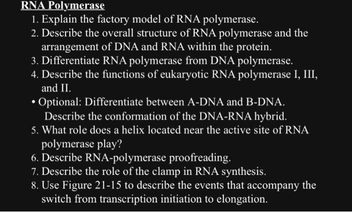 Solved 1. Explain the factory model of RNA polymerase. 2. | Chegg.com