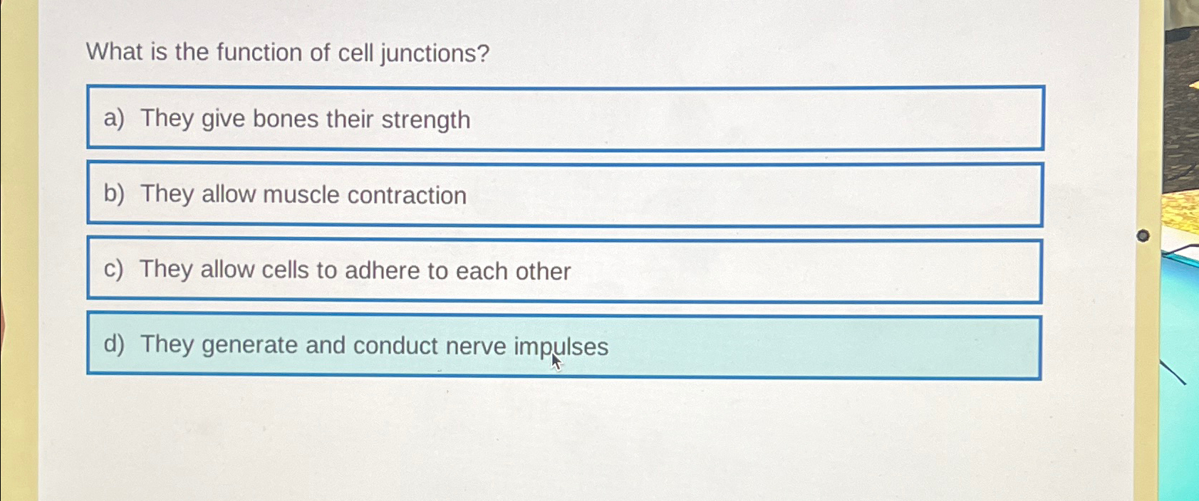 Solved What is the function of cell junctions?a) ﻿They give | Chegg.com