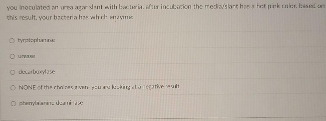 Solved you inoculated an urea agar slant with bacteria. | Chegg.com