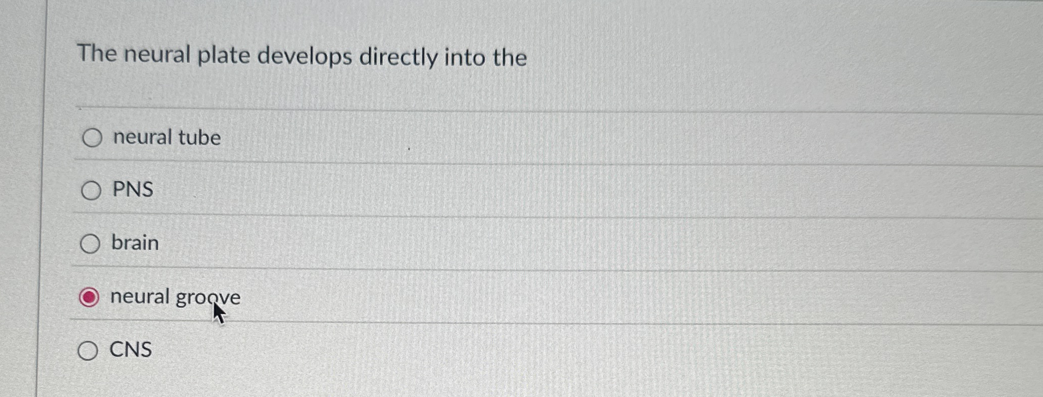 Solved The neural plate develops directly into theneural | Chegg.com