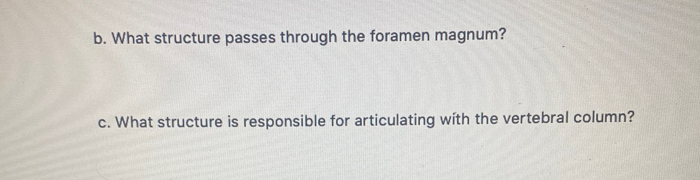 Solved b. ﻿What structure passes through the foramen | Chegg.com