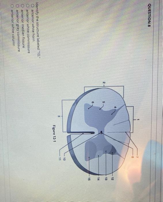 Solved 2 Using The Figure Below Identify The Cellular - vrogue.co Solved 2 Using The Figure Below Identify The Cellular - vrogue.co