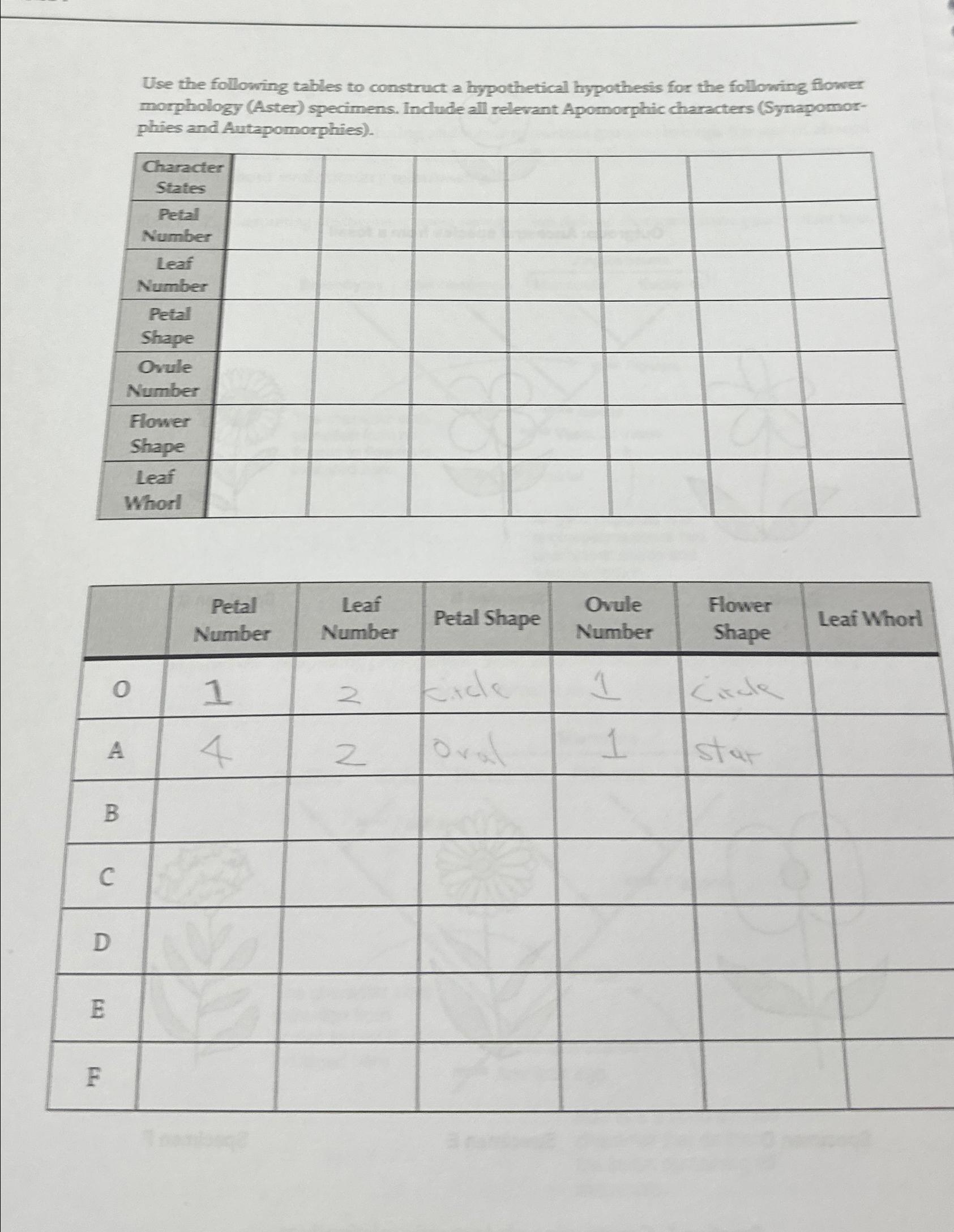 Solved Use the following tables to construct a hypothetical | Chegg.com