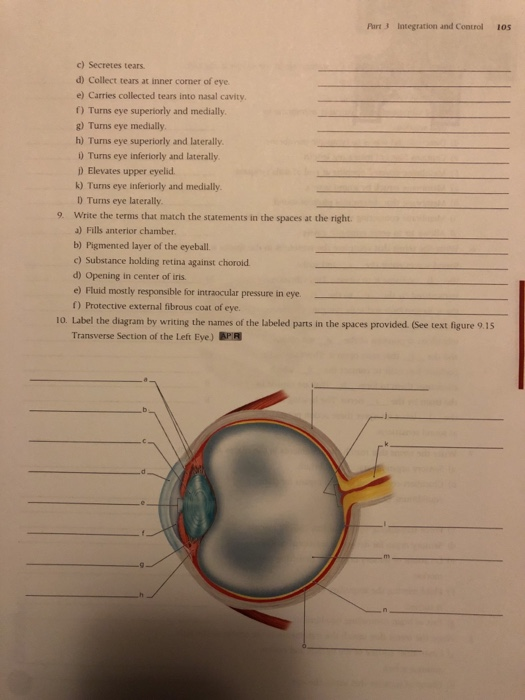 Solved Part 3 Integration and Control 105 c) Secretes tears | Chegg.com