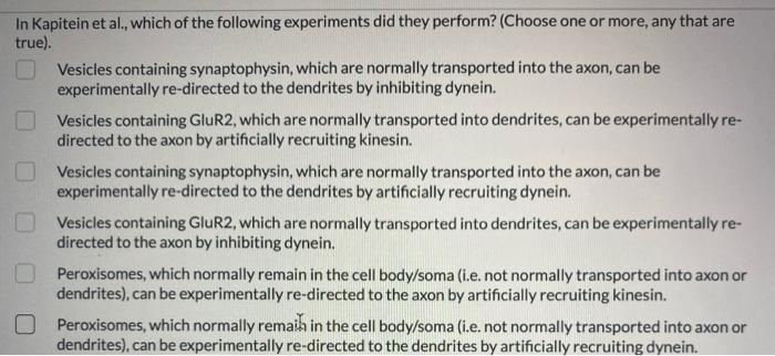 Solved Impaired barrier function in which inappropriate | Chegg.com