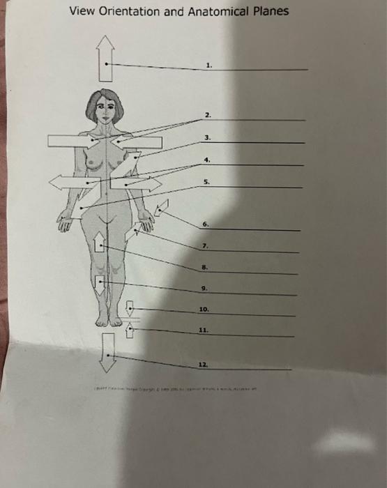 Solved View Orientation and Anatomical Planes 1. 2. 3. 4. 5 | Chegg.com