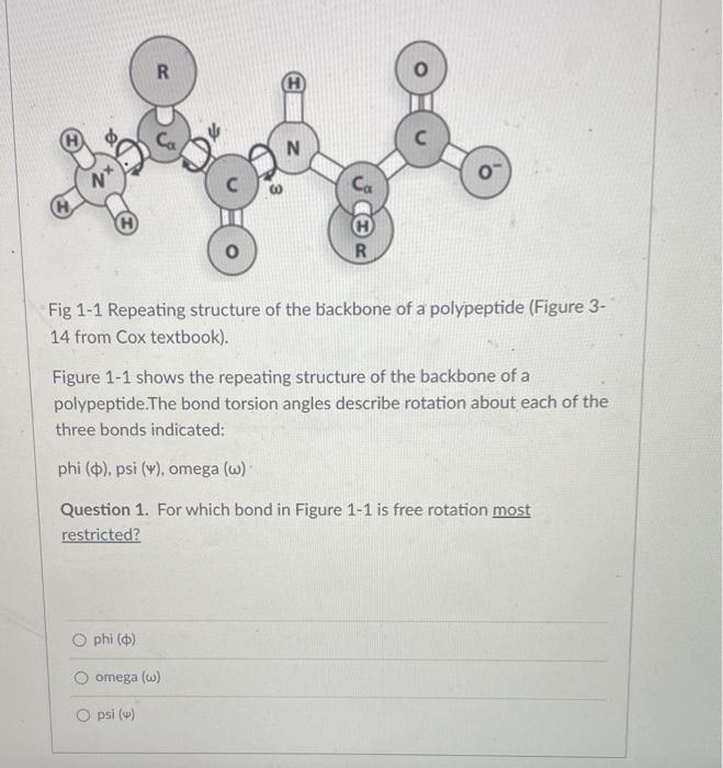 Solved Fig 1-1 Repeating structure of the backbone of a | Chegg.com