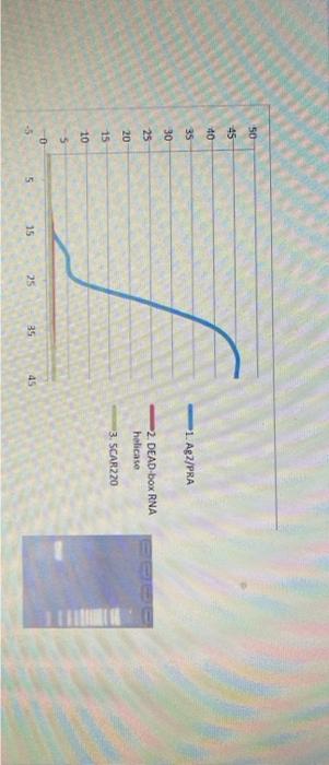 Solved interpret the data and the pcr results please using | Chegg.com