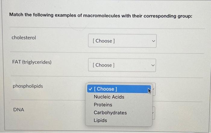 Solved Match the following examples of macromolecules with | Chegg.com Solved Match the following examples of macromolecules with | Chegg.com